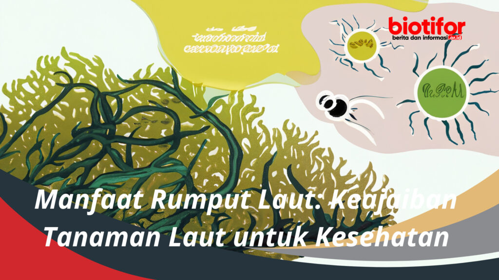 Manfaat Rumput Laut: Keajaiban Tanaman Laut untuk Kesehatan - Biotifor
