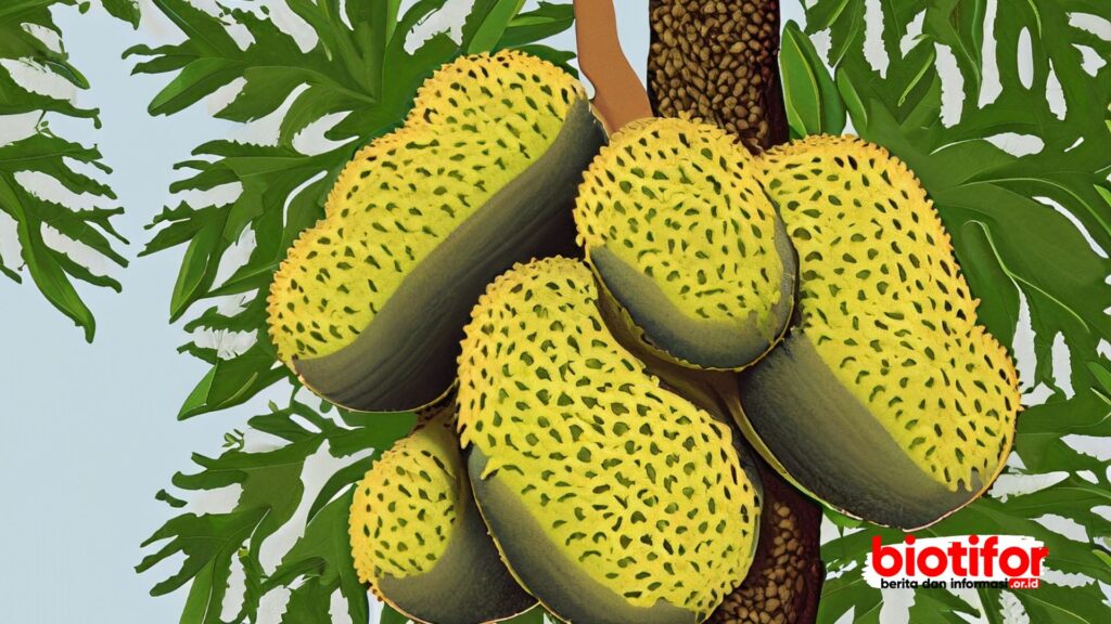 15 Manfaat Sukun: Khasiat Luar Biasa dari Buah Unggulan