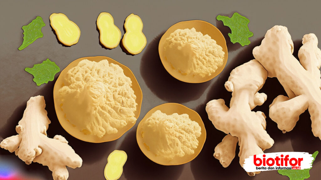 Manfaat Temulawak: Khasiat dan Keunggulan Tanaman Herbal - Biotifor