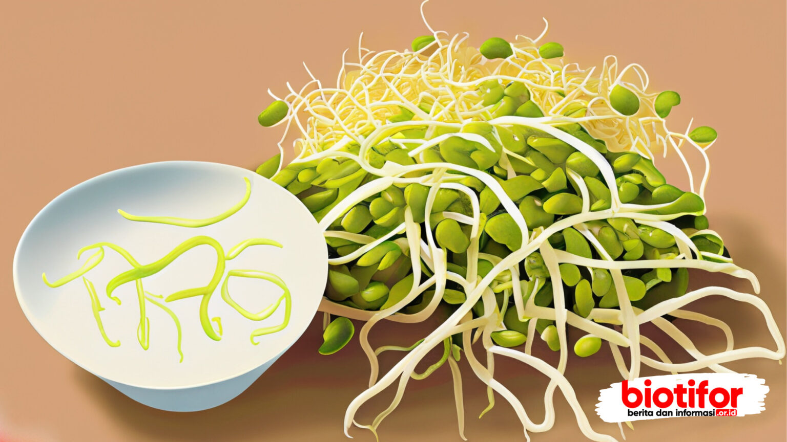 15 Manfaat Toge untuk Kesehatan dan Kecantikan - Biotifor