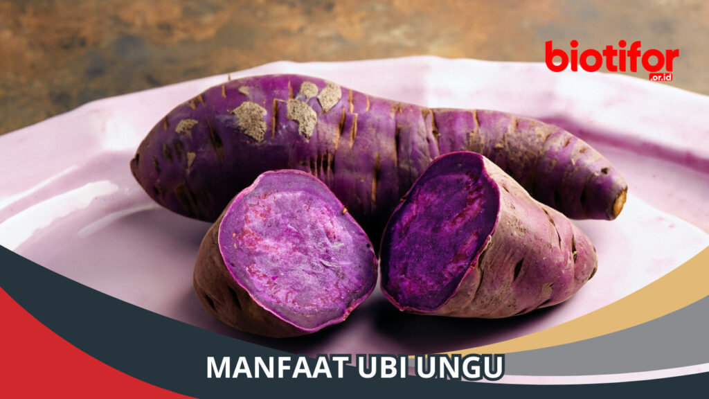 Manfaat Ubi Ungu: Khasiat Luar Biasa dari Superfood - Biotifor