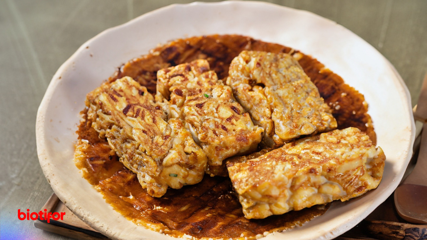 Cara Membuat Tempe: Sensasi Gurihnya Tempe Buatan Sendiri - Biotifor