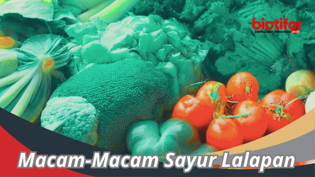 Jenis Sayuran Lalapan : Sajian Sayur Nikmat Di Indonesia