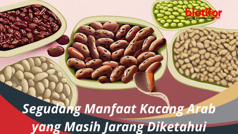 Segudang Manfaat Kacang Arab yang Masih Jarang Diketahui - Biotifor