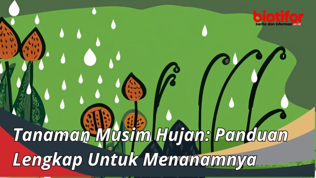 Tanaman Musim Hujan: Panduan Lengkap Untuk Menanamnya