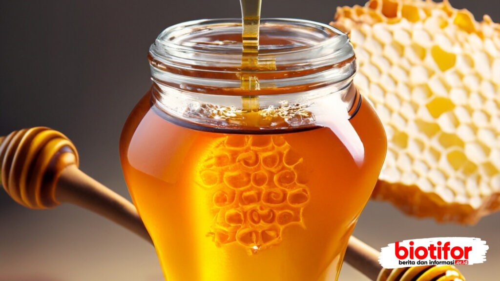 Jenis Madu: Manfaat, Proses Produksi, dan Tips Memilih Madu