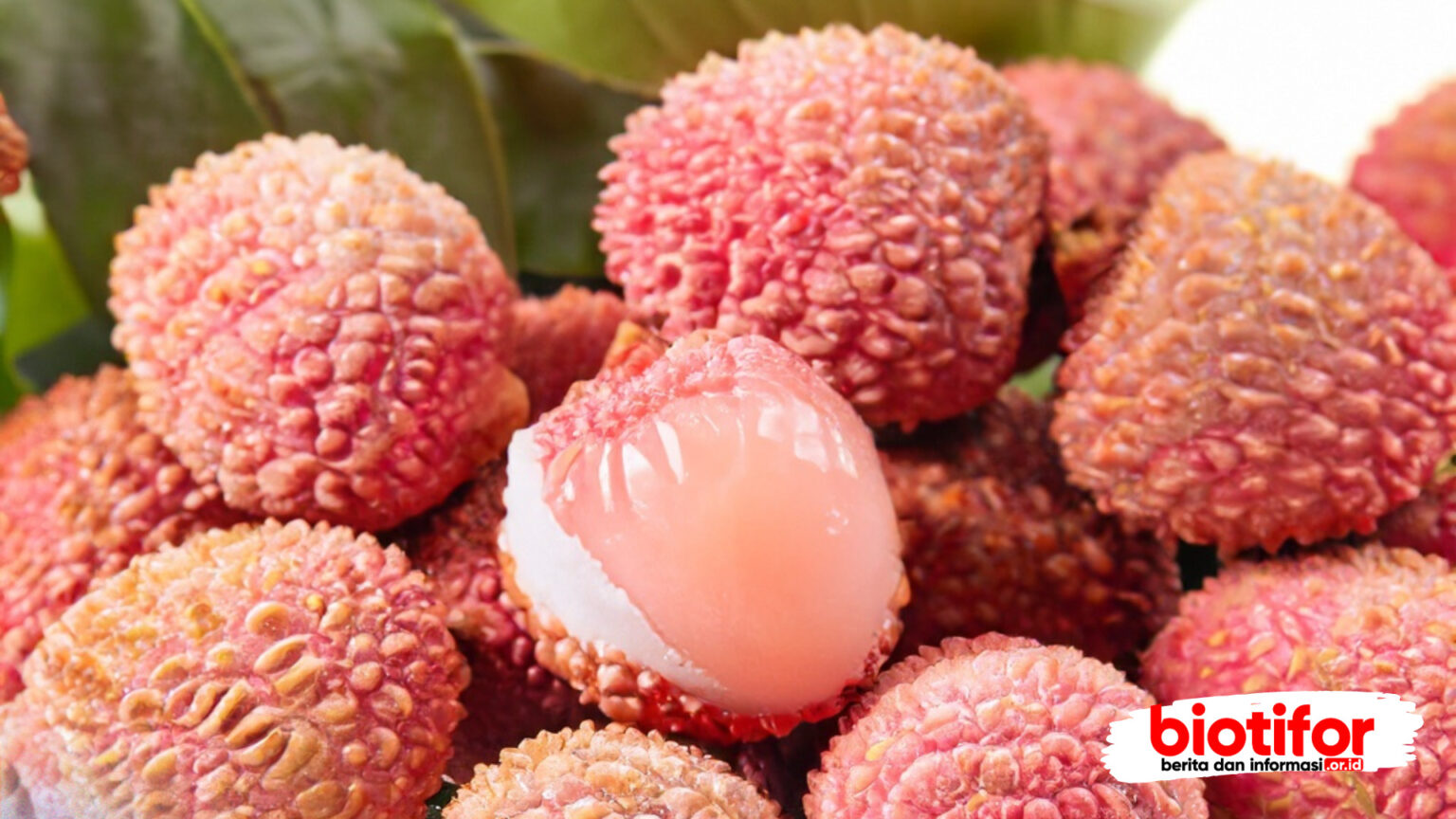 Manfaat Buah Leci: Menyegarkan dan Menyehatkan