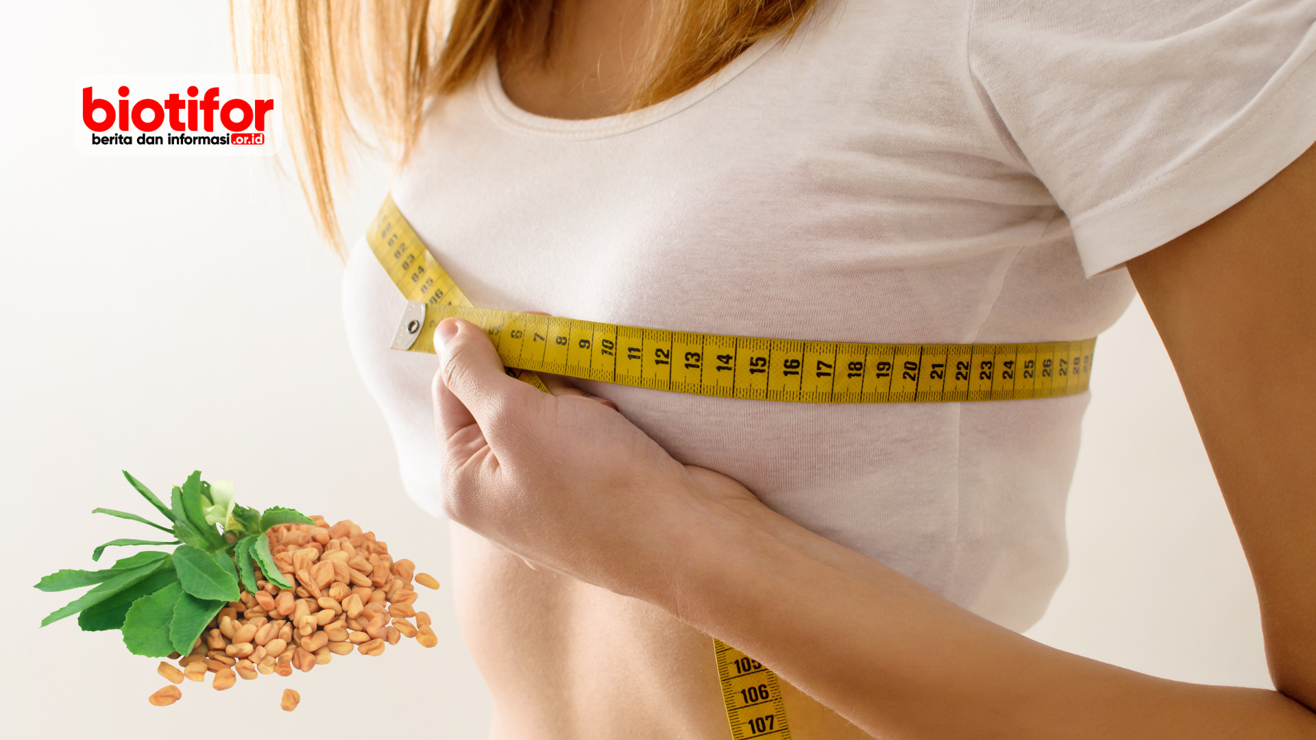 Manfaat Fenugreek untuk Payudara, Pembesar Payudara Alami - Biotifor
