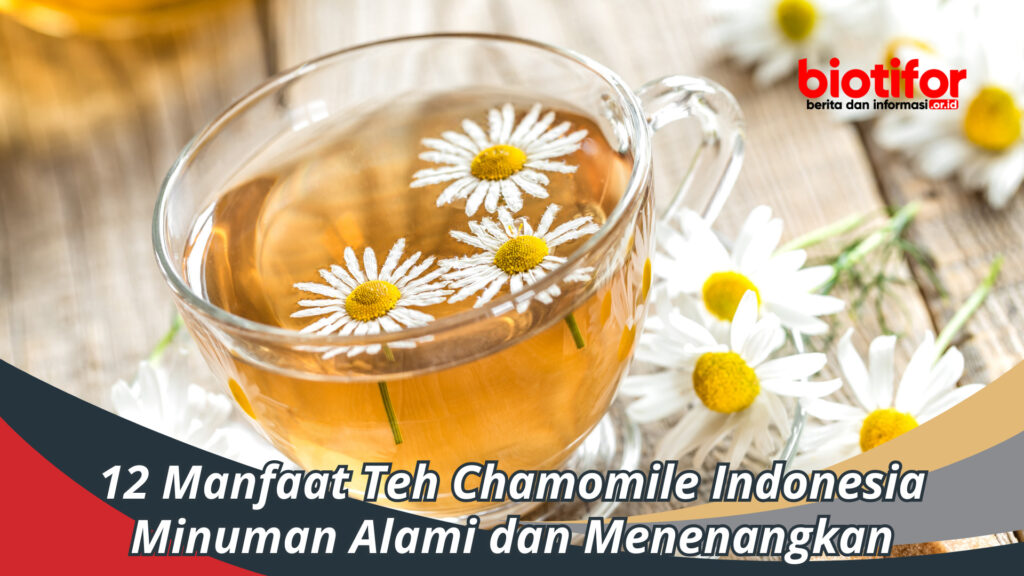 12 Manfaat Teh Chamomile: Minuman Alami dan Menenangkan - Biotifor