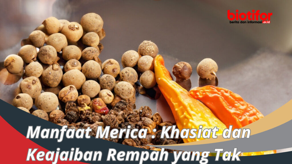 Manfaat Merica : Khasiat dan Keajaiban Rempah yang Tak Terduga