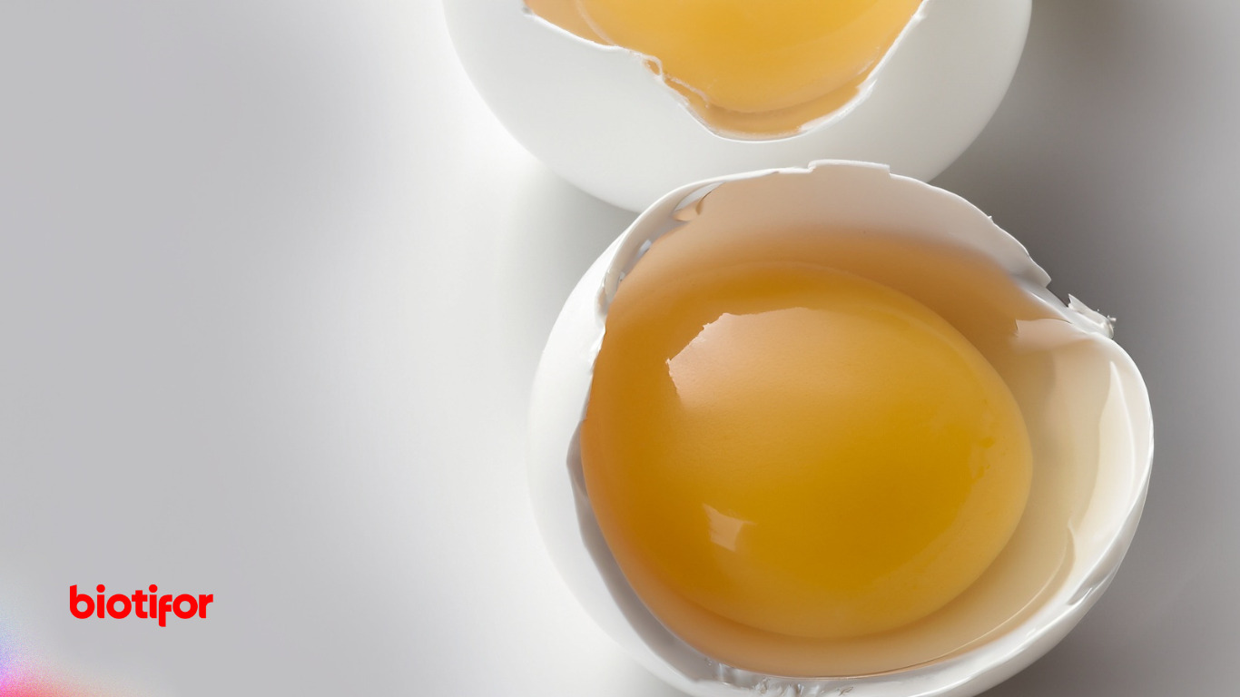 Manfaat Putih Telur untuk Wajah: Rahasia Kulit Cantik Alami - Biotifor