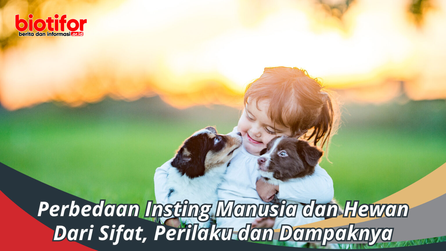 Perbedaan Insting Manusia dan Hewan: Dari Sifat & Perilakunya - Biotifor