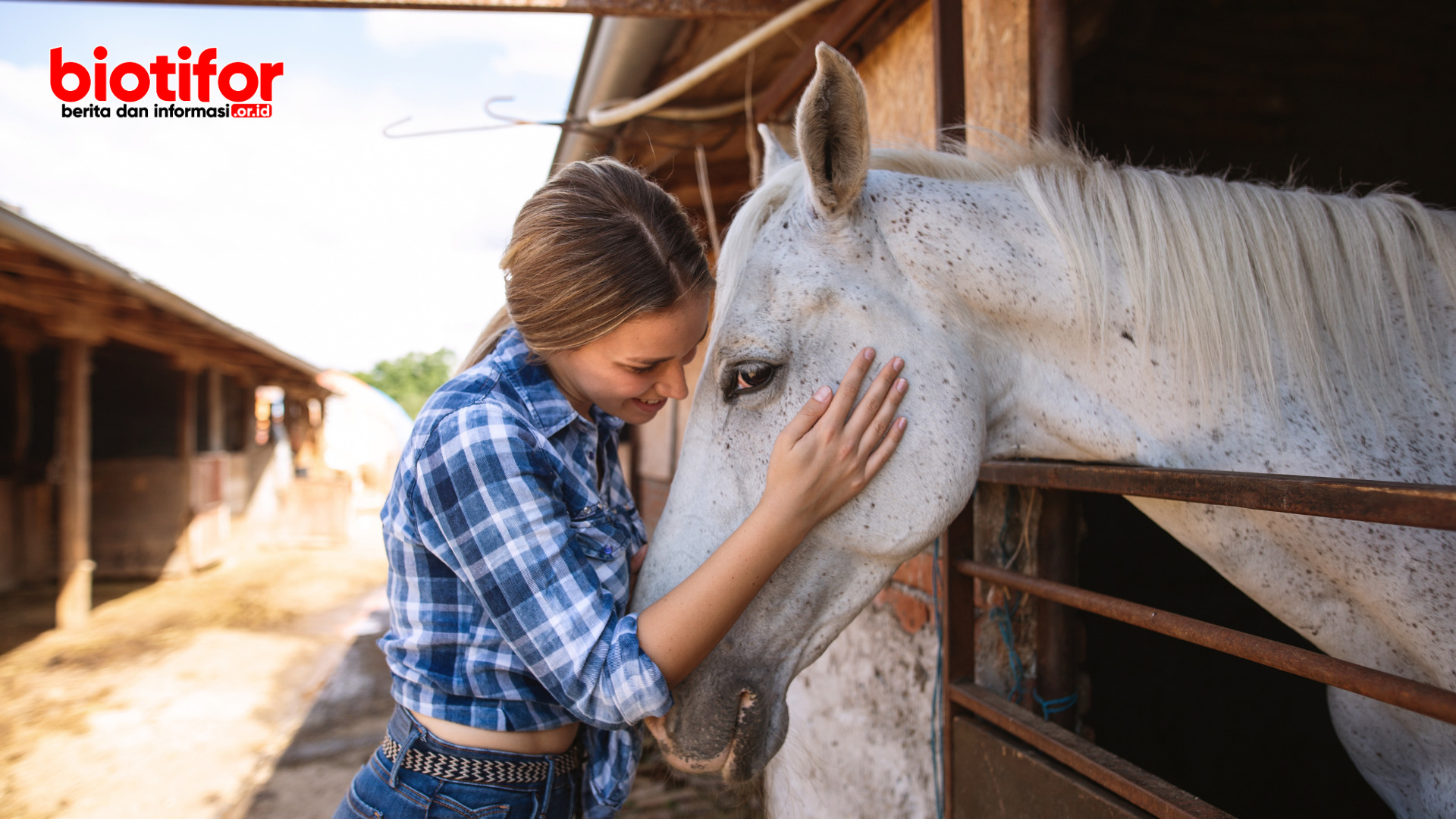 Perbedaan Insting Manusia dan Hewan: Dari Sifat & Perilakunya - Biotifor