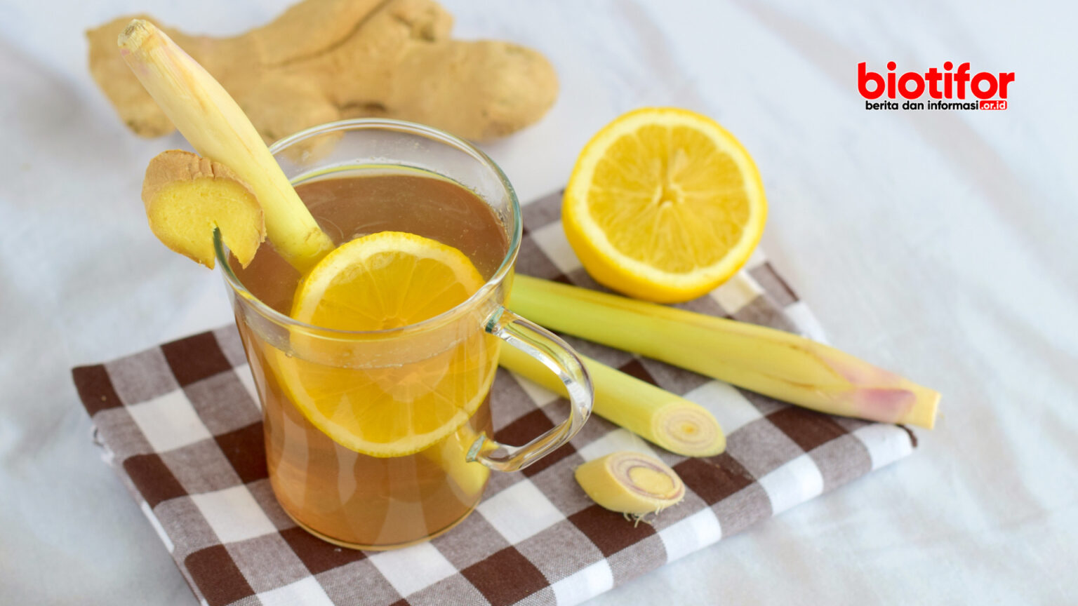 8 Manfaat Air Rebusan Jahe Sereh dan Kayu Manis - Biotifor
