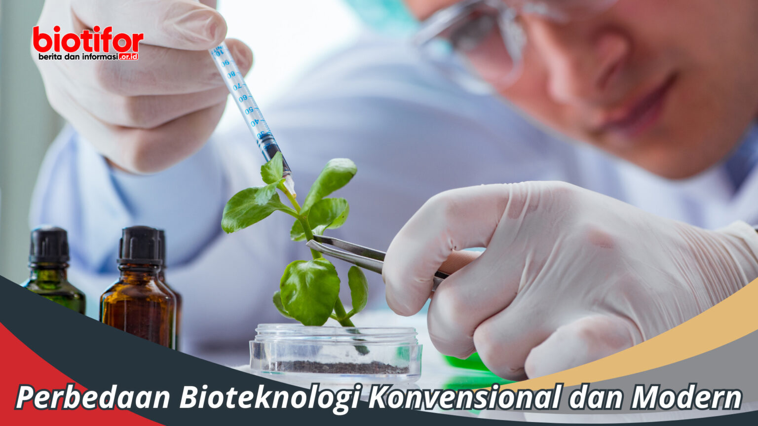 Perbedaan Bioteknologi Konvensional dan Modern - Biotifor