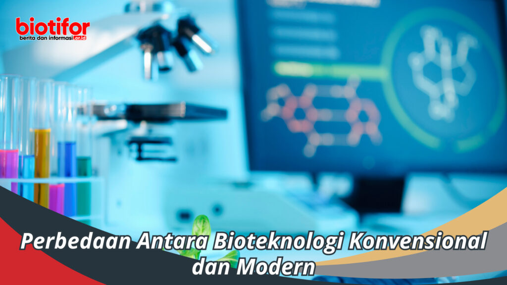 Jelaskan Perbedaan Antara Bioteknologi Konvensional dan Modern - Biotifor