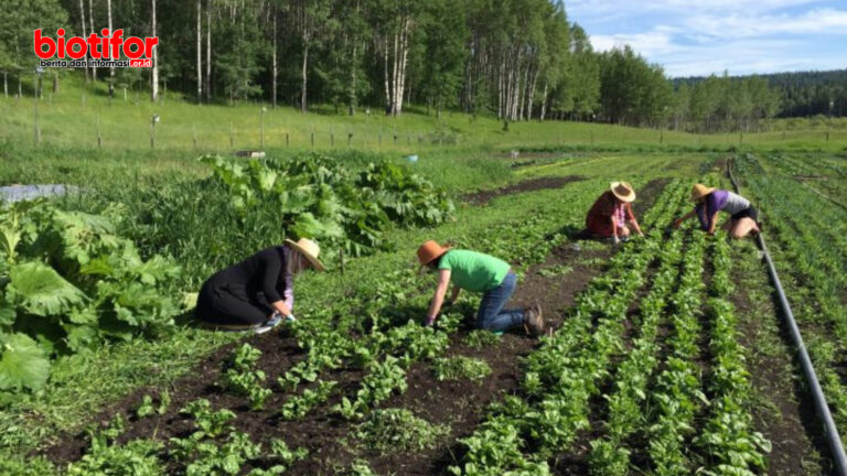 10 Pekerjaan di Dataran Rendah: Meniti Karir yang Menjanjikan - Biotifor