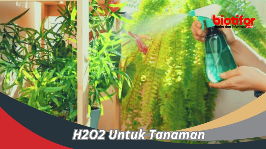 Manfaat H2O2 Untuk Tanaman / Hidrogen Peroksida