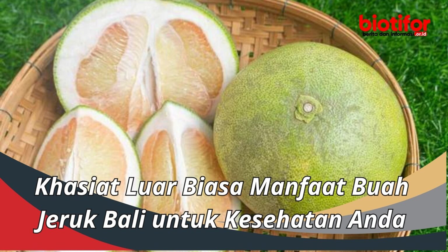 Khasiat Luar Biasa Manfaat Buah Jeruk Bali untuk Kesehatan Anda - Biotifor