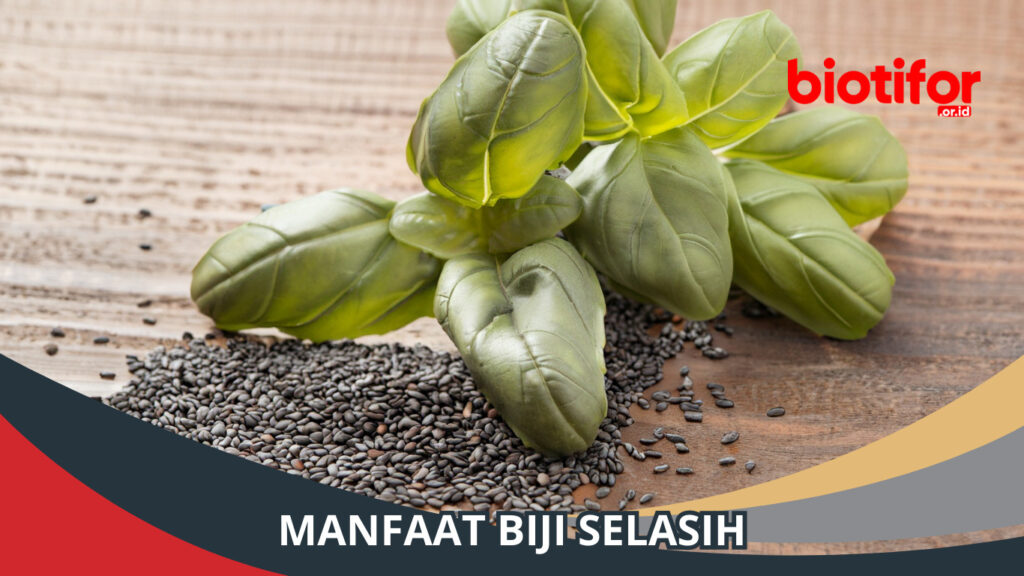 10 Manfaat Biji Selasih: Menemani Kesehatan Anda - Biotifor