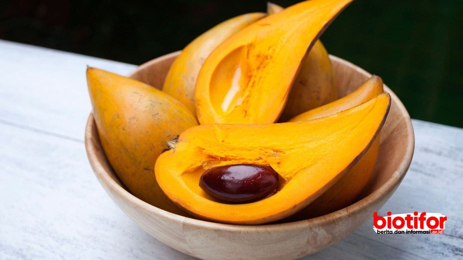 Manfaat Buah Alkesa: Keajaiban Kesehatan dalam Genggaman - Biotifor