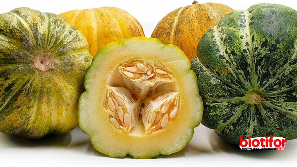 Manfaat Buah Blewah: Khasiat Luar Biasa untuk Kesehatan - Biotifor