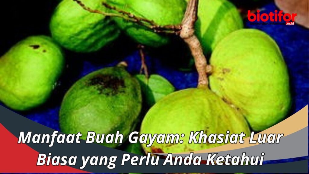 Jenis Buah Rasa Asam Tertinggi : Sensasi Rasa Maksimal