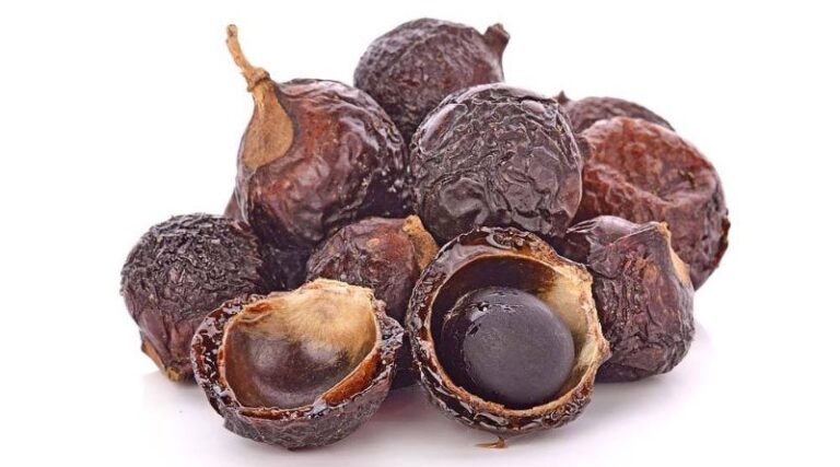 Manfaat Buah Lerak: Khasiat Luar Biasa untuk Kesehatan dan Kecantikan