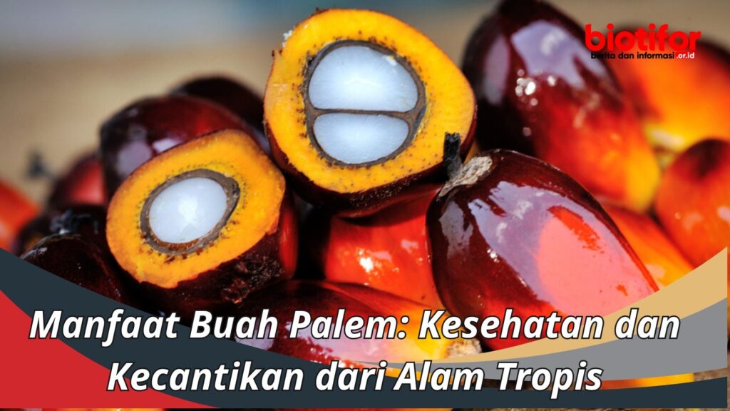 Manfaat Buah Palem: Kesehatan dan Kecantikan dari Alam Tropis - Biotifor