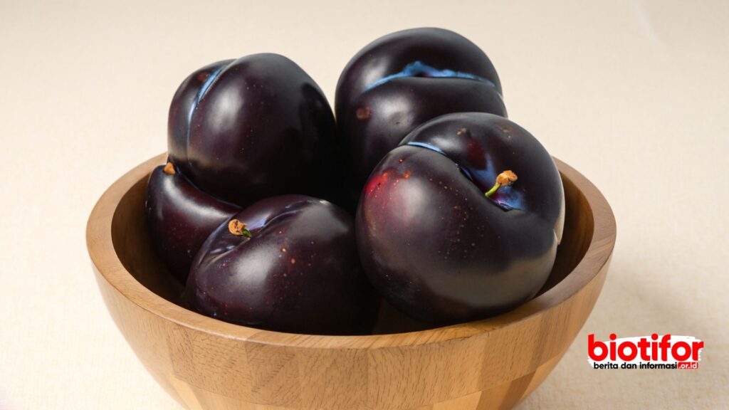 Manfaat Buah Plum Hitam: Khasiat Luar Biasa yang Perlu Anda Ketahui