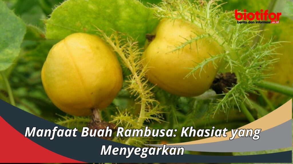 Manfaat Buah Rambusa: Khasiat yang Menyegarkan