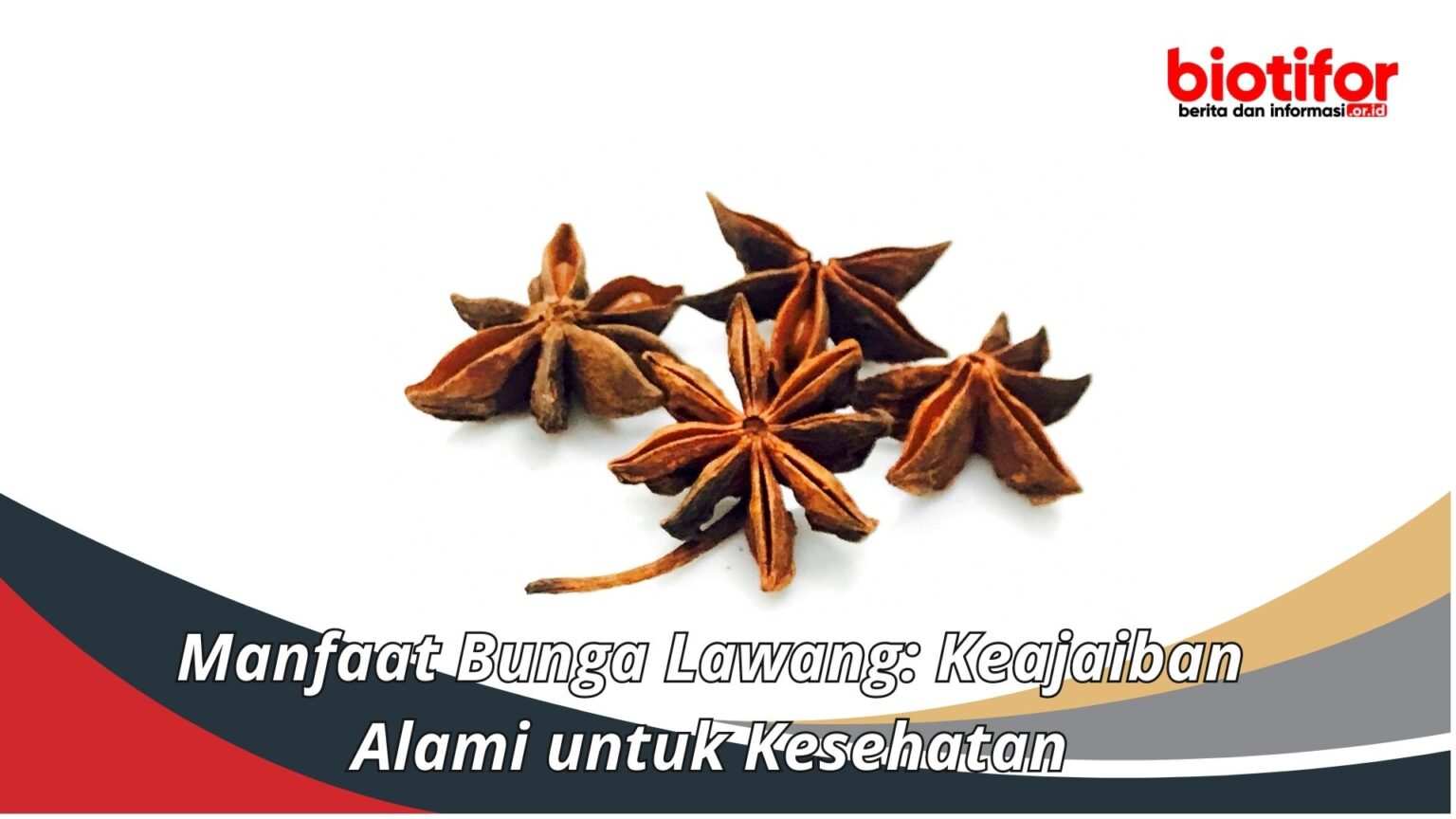 Manfaat Bunga Lawang: Keajaiban Alami untuk Kesehatan - Biotifor