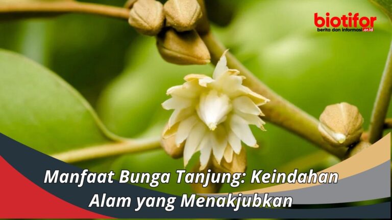 Manfaat Bunga Belimbing Wuluh: Rahasia Khasiat yang Luar Biasa