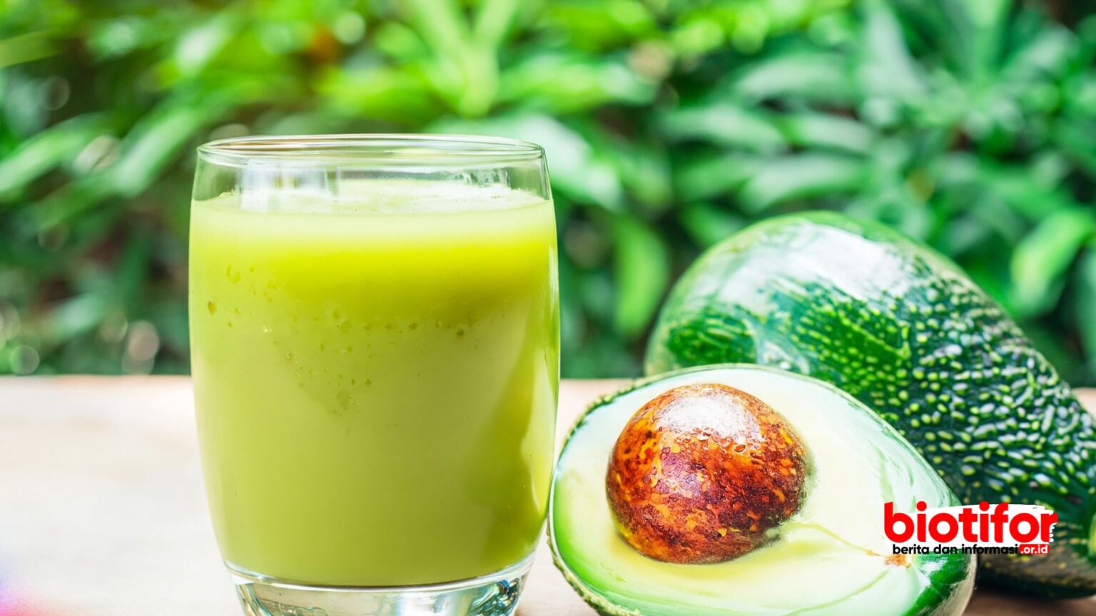 Manfaat Jus Buah Alpukat Kesehatan Dan Kenikmatan Dalam Setiap Minuman