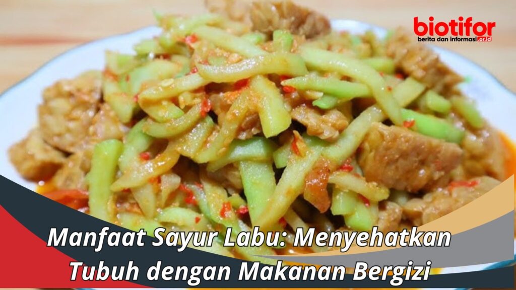 Manfaat Sayur Labu: Menyehatkan Tubuh dengan Makanan Bergizi - Biotifor
