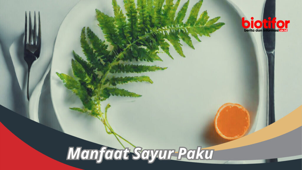 Manfaat Sayur Paku / Pakis Untuk Kesehatan Dan Kecantikan