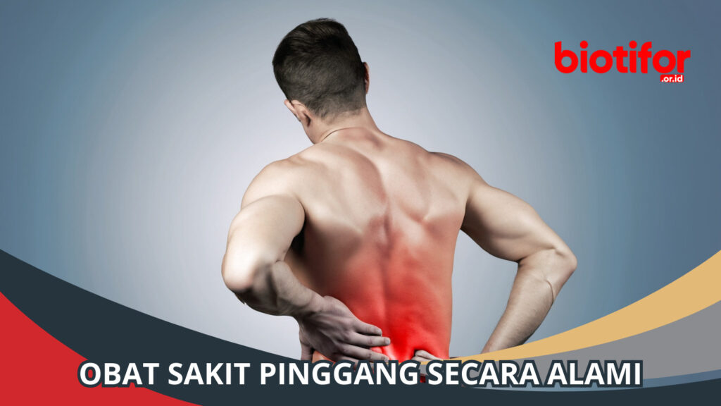 Obat Sakit Pinggang: Mengatasi Rasa Tak Enak di Area Pinggang - Biotifor