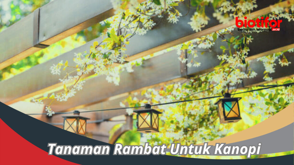 Jenis Tanaman Rambat Untuk Kanopi Dan Perawatannya