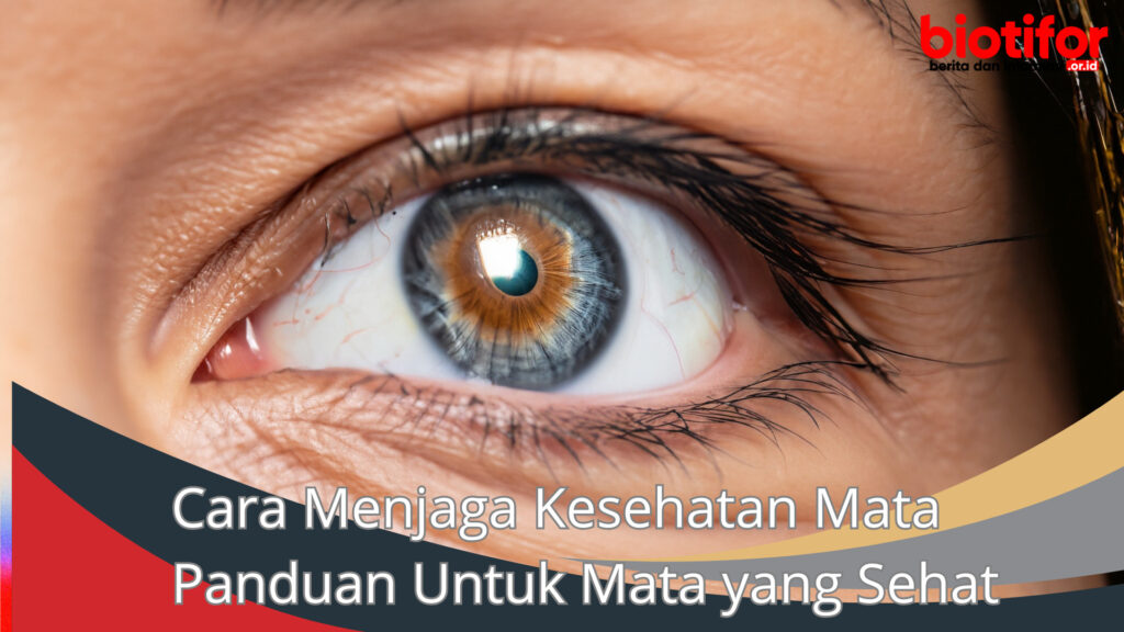 Cara Menjaga Kesehatan Mata Panduan Untuk Mata yang Sehat