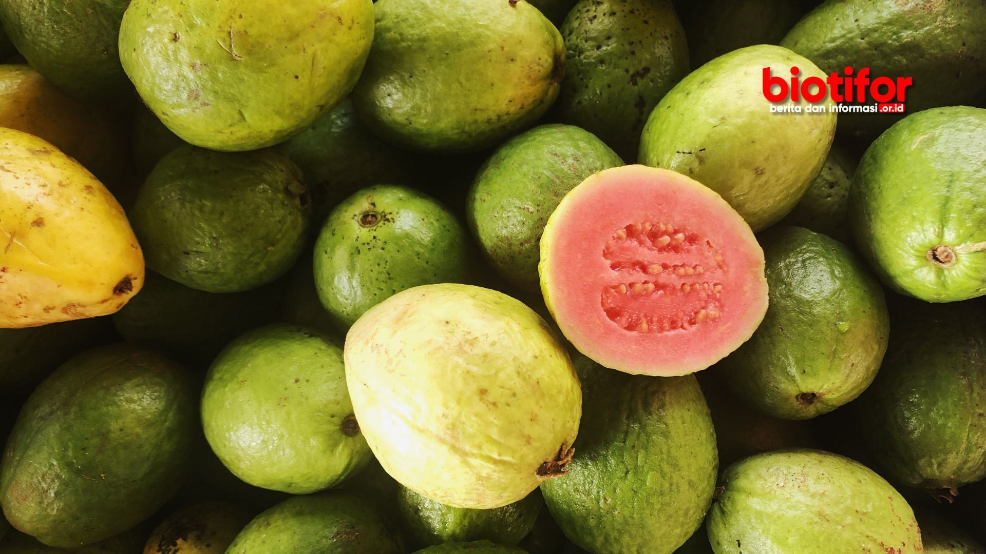 10 Buah Rendah Gula, Bagus untuk Menjaga Berat Badan Ideal - Biotifor