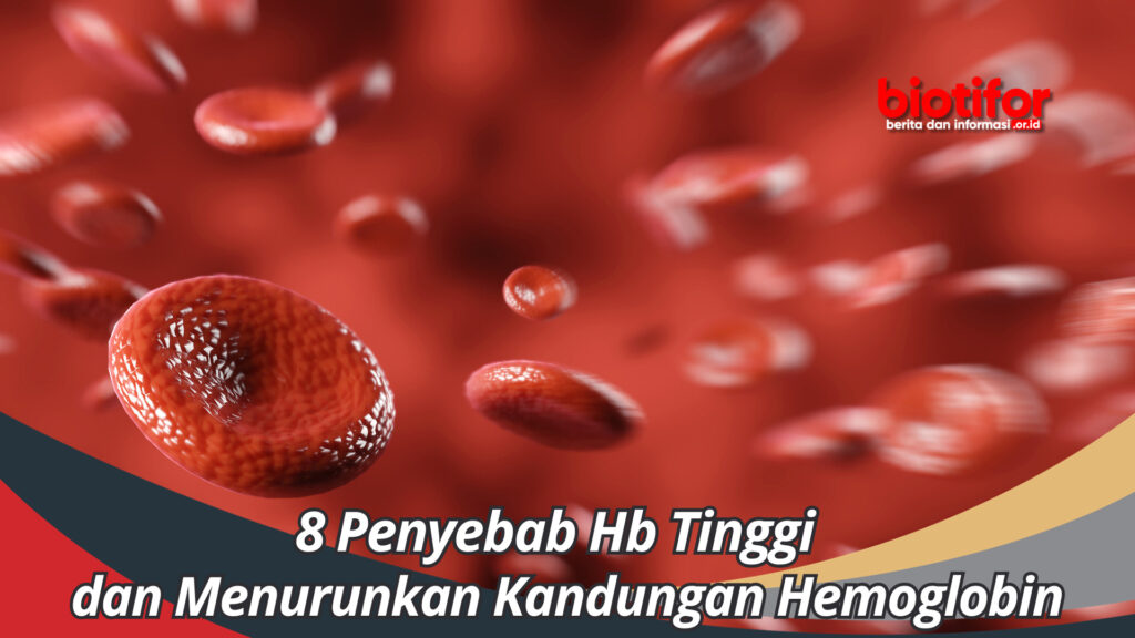 8 Penyebab Hb Tinggi dan Menurunkan Kandungan Hemoglobin - Biotifor