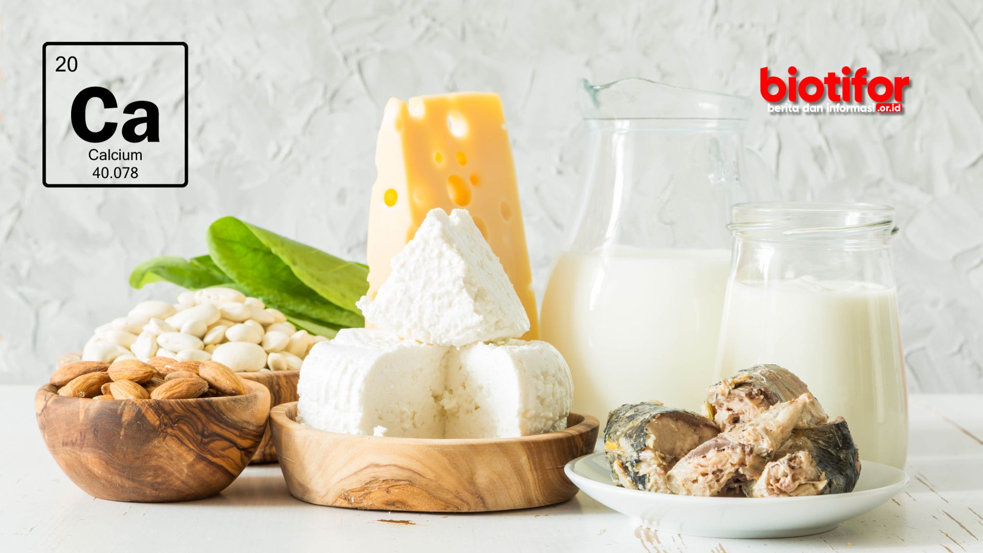 7 Fungsi Kalsium untuk kesehatan Tubuh dan Manfaat Vitalnya - Biotifor