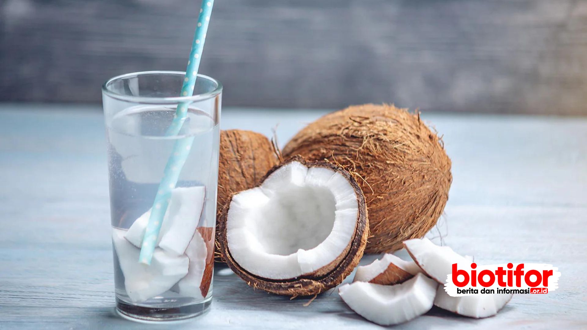 Manfaat Air Kelapa Tua Keajaiban Alam Yang Menyehatkan
