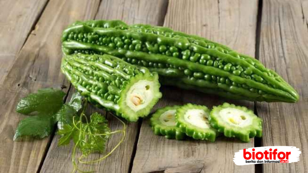 Tetap Enak ! Ini Cara Memasak Pare Agar Tidak Pahit - Biotifor