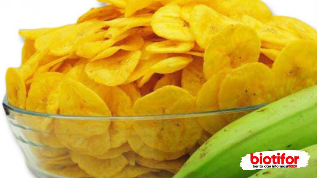 Pasti Jadi ! Cara Membuat Keripik Pisang Yang Mudah Dan Enak - Biotifor