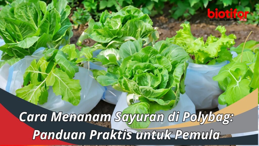 12 Jenis Pupuk Tanaman Terbaik untuk Pertumbuhan Optimal - Biotifor