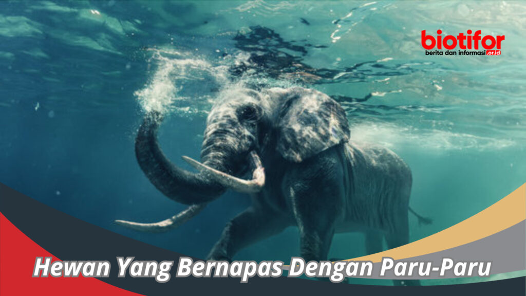 Tak Hanya Manusia , Hewan Ini Juga Bernafas Dengan Paru-Paru