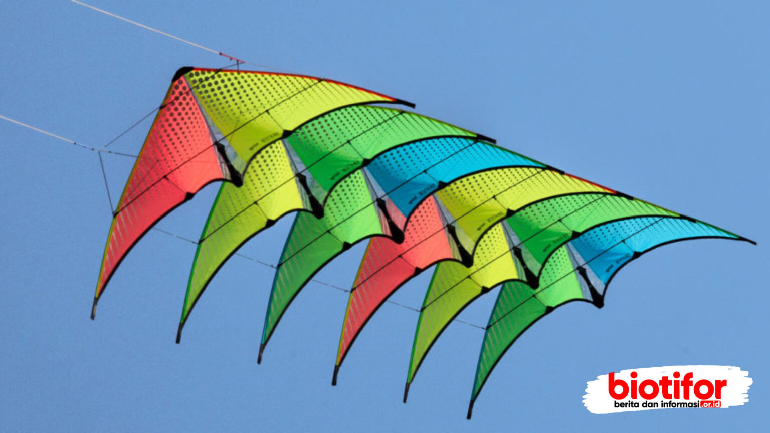 Jenis Layang-Layang - Terbangkan Imajinasi Ke Langit