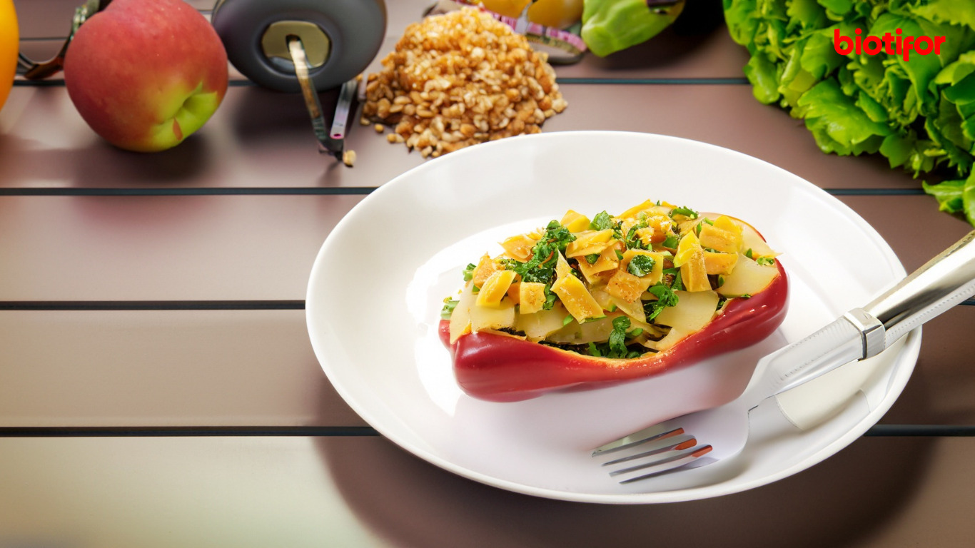 Makanan untuk Diet: Panduan Lengkap Menu Sehat - Biotifor
