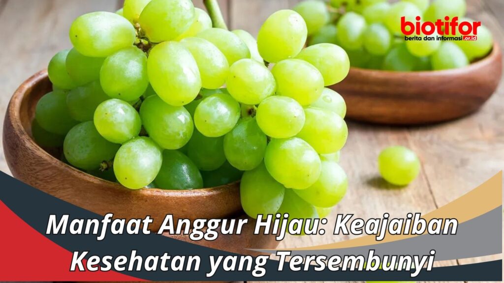 Manfaat Anggur Hijau: Keajaiban Kesehatan yang Tersembunyi - Biotifor